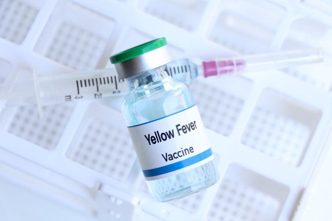 Yellow Fever Vaccine | Entry Requirements & Travel Guide